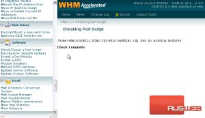 Using The Perl Script Checker In WHM Web