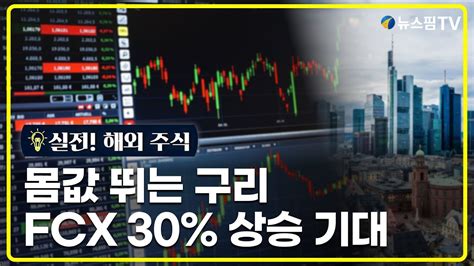 실전 해외주식 프리포트 맥모란 반전 드라마 막 올랐다 Youtube