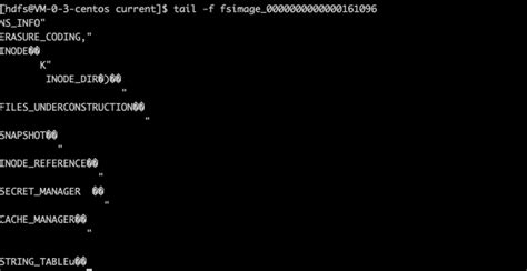 Hdfs 中元数据 Fsimage，edits详解 不知名程序员韭菜个人博客