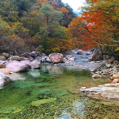 설악산 계곡 자연 사진 풍경 사진 풍경 수채화