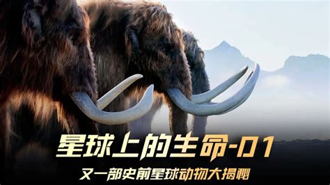 我们星球上的生命01集40亿年前地球的生物进化过程 我们星球上的生命 侏罗纪 白垩纪 高清1080P在线观看平台 腾讯视频