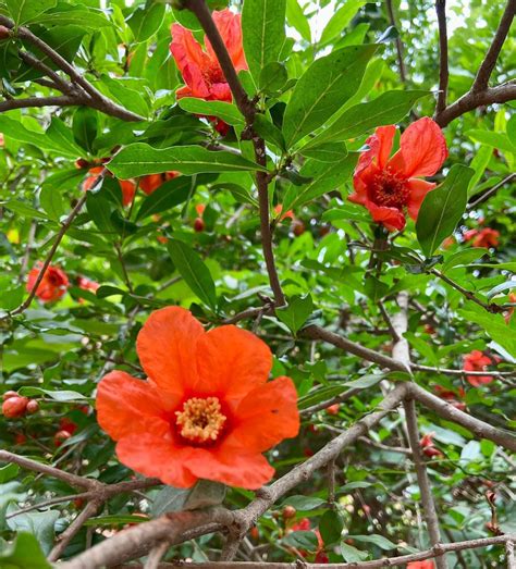 ازرع بذرة جروب على فيسبوك للتشجيع على الزراعة المصري لايت