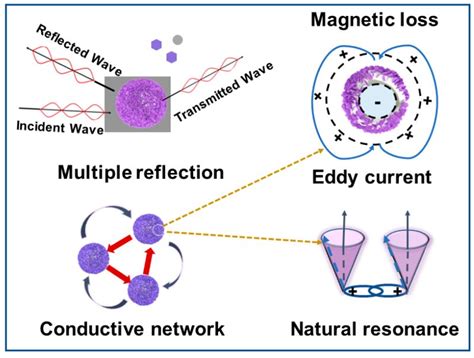 international journal of molecular sciences mdpi on linkedin