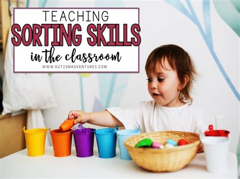 Teaching Sorting Skills In The Classroom Autism Adventures