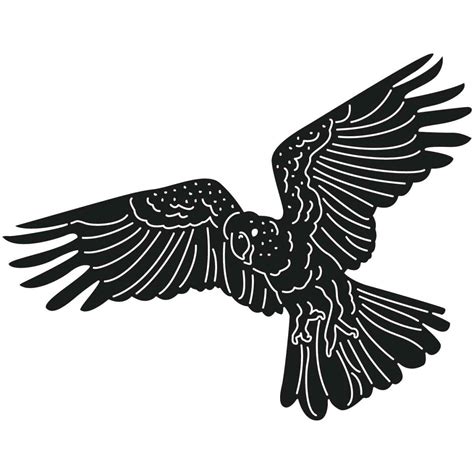 Australian Red Tailed Black Cockatoo 18 Dxfforcnc