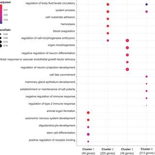 Heat Map Of RNAsequencing Analysis For Differentially Expressed Genes Download Scientific