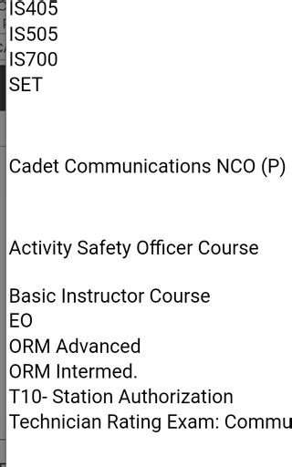 What Does The P On My Duty Assignment Means Rcivilairpatrol