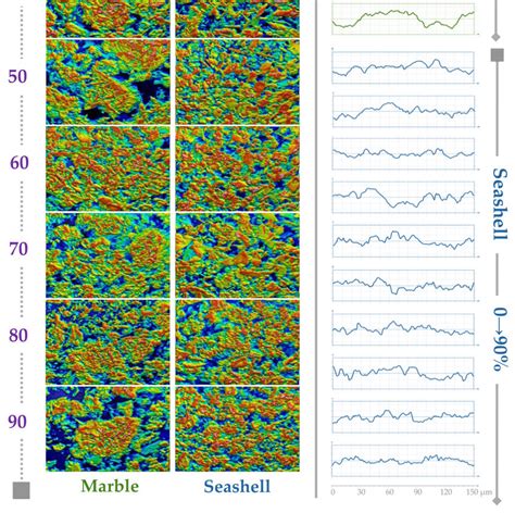 3d Surface Topology Reconstruction On The Basis Of Sem Micrographs Download Scientific Diagram