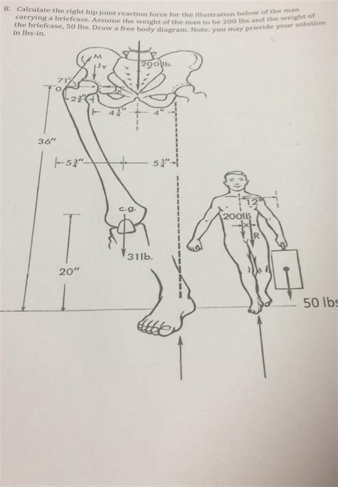 Solved Calculate The Right Hip Joint Reaction Force For Chegg Com