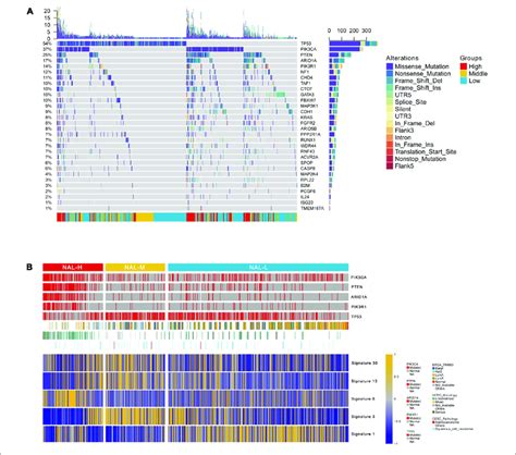 A Oncoprint Shows The Somatic Mutation Landscape Of Mutsigcv Download Scientific Diagram