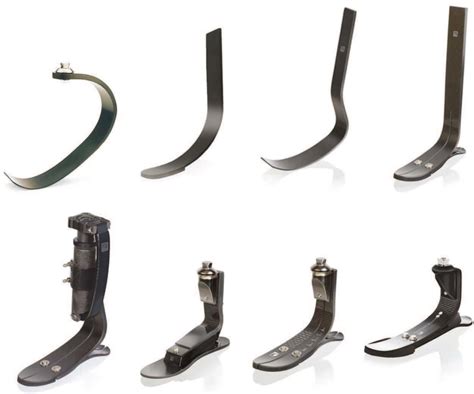 Figure 1 1 From Design Of A Transtibial Prosthesis Utilizing Active And Passive Components In