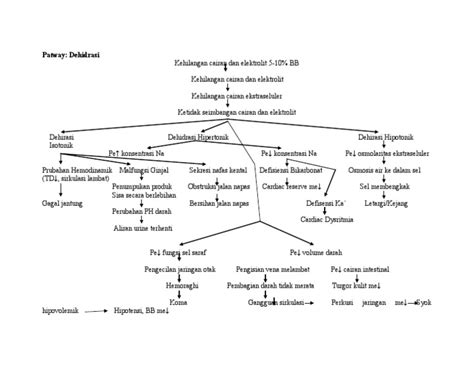 Pathway Dehidrasi Pdf
