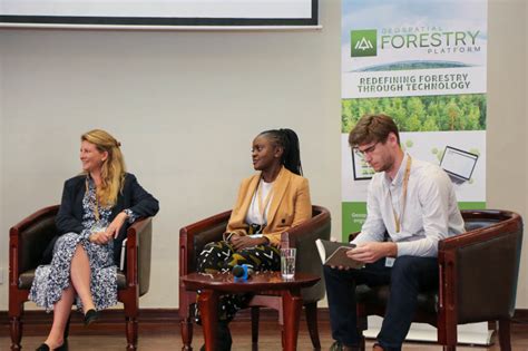 Geospatial Forestry Platform Forestry Monitoring Software Africa