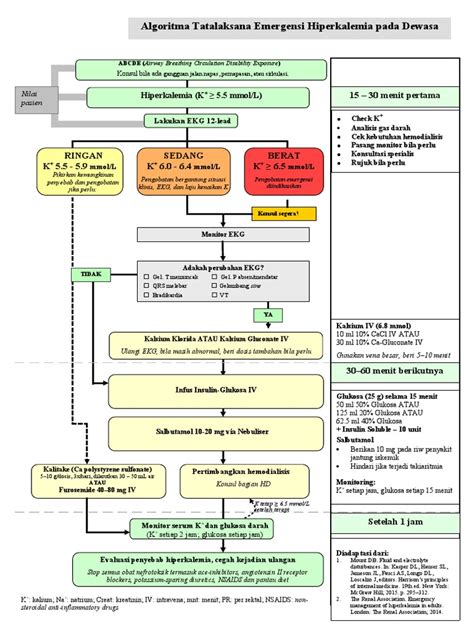 Algoritma Tatalaksana Hiperkalemia Edited By Faiz Pdf