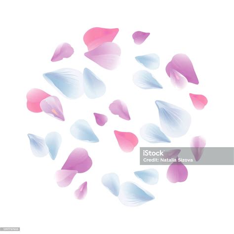 흰색 배경에 고립 된 분홍색 보라색 흰색 비행 꽃잎 사쿠라 장미 꽃잎은 원 모양 벡터 0명에 대한 스톡 벡터 아트 및 기타