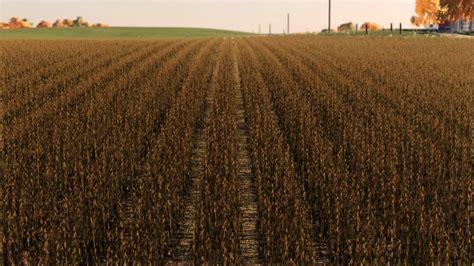 Creek FS 22 Search ModLand Net