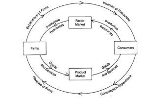 Circular Flow Of Economic Activity EconTips