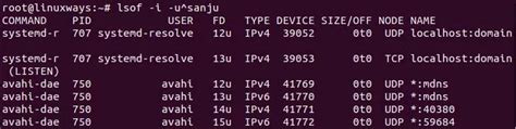 Commande Linux Lsof Expliqu E Avec Exemples Pratiques