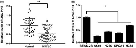 The Expression Of Linc Pint In Nsclc A The Level Of Linc Pint In
