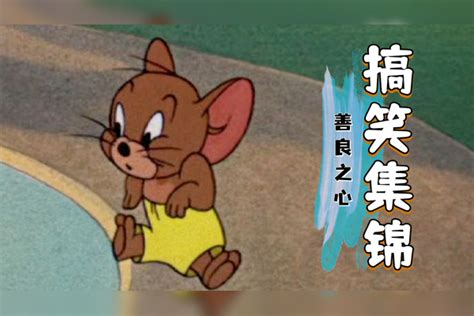 猫和老鼠杰瑞帮助海豹脱离险境做人一定要有一颗善良之心