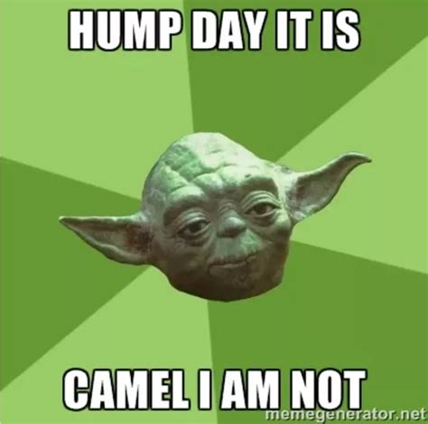 39 Funny Wednesday Memes To Get You Through Hump Day