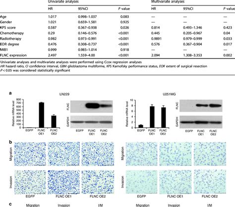 Univariate And Multivariate Analyses In Patients With Gbm For Overall Download Table