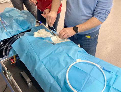 Ecmo Trainer Professional Mk2 Australian Physiotherapy Equipment