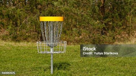 디스크 골프 바스켓 프리스비 골프는 야외 공원에서 스포츠와 취미입니다 생동감 넘치는 푸른 나무로 둘러싸인 디스크 게임을 위한 체인이 있는 금속 바구니 Golf