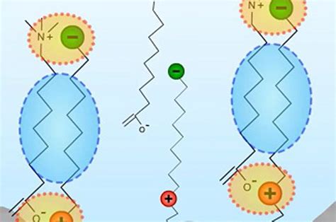 Top 10 Tips For Hilic Method Development And Optimization Chromacademy