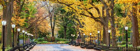 Americas Wild Side Best National Parks To Visit In The Us