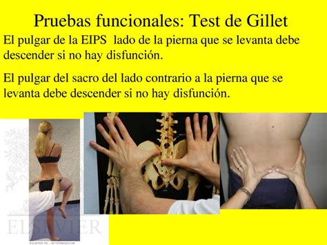 Exploración Clínica Ppt Descargar