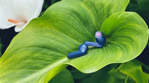 Jbl Tune Nc Tws Review Stereo Guide