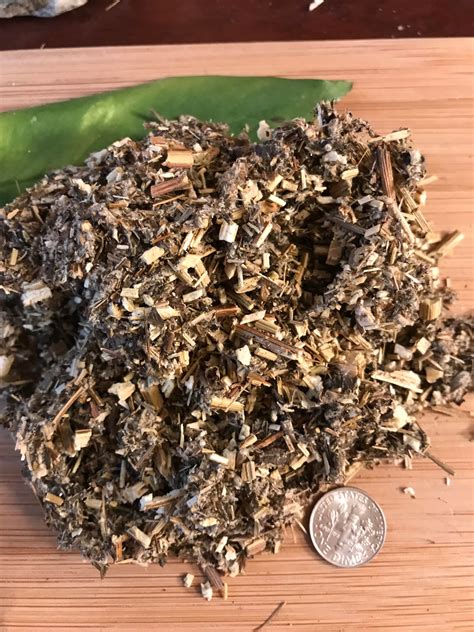 Mugwort Dried Herb Black Sage Artemisia Vulgaris