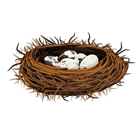 Bird Nest Vector Hd Images Beautiful Bird Nest Clipart Nest Clipart