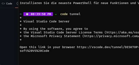 Install Vs Code Server When Its Running · Issue 38 · Nuxtdevtools · Github