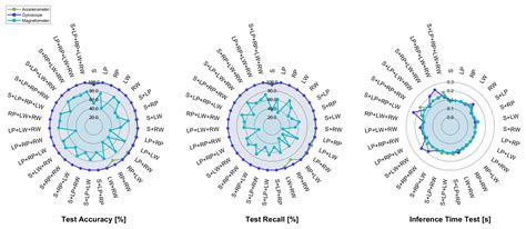 A Deep Learning Based Framework Oriented To Pathological Gait Recognition With Inertial Sensors