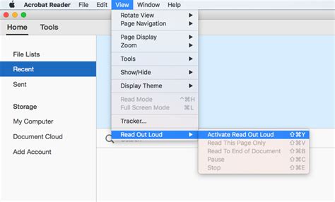 What Does Adobe Reader For Mac Look Like Lerbilla