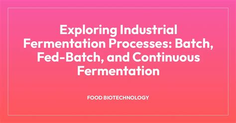 Exploring Industrial Fermentation Processes Batch Fed Batch And Continuous Fermentation