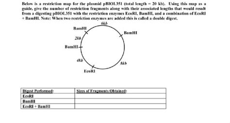 Solved Below Is A Restriction Map For The Plasmid PBIOL351 Chegg Com