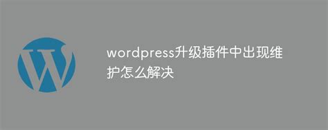 Wordpress升级插件中出现维护怎么解决 美云