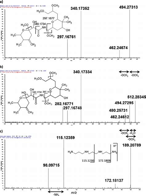 Ap Smaldi Ms Spectrum Obtained From A Single 5 μ M Spot Measured With Download Scientific