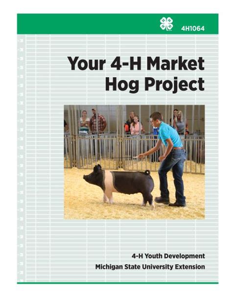 New 4 H Market Hog Project Resource Msu Extension