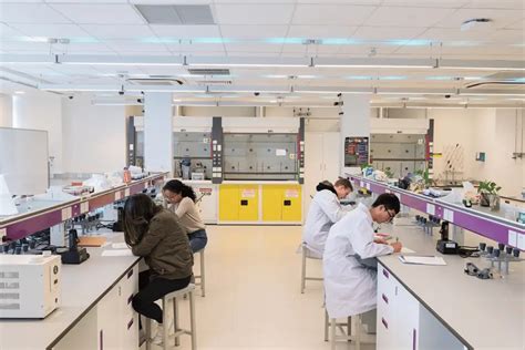 NYU Acceptance Rate 2023 For International Babes Academicful