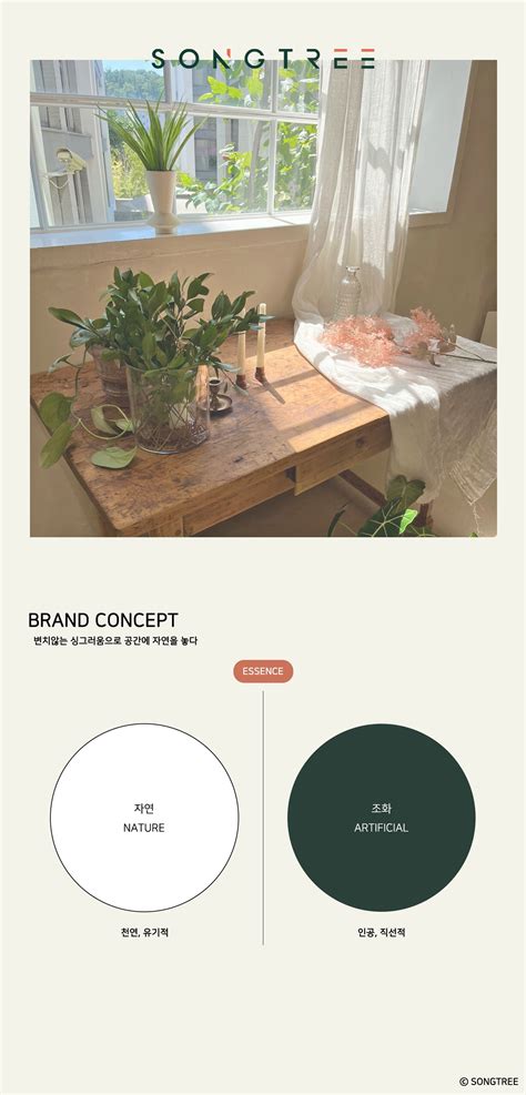 조화 내츄럴 리얼리티 나뭇가지 조화 오늘의집 쇼핑