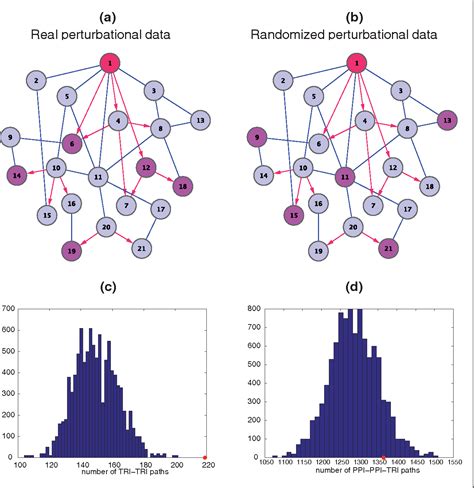 Figure 2 From Characterizing Regulatory Path Motifs In Integrated Networks Using Perturbational