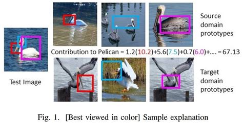 Explain Image Classifier By Showing Features In Source And Target Domains With XSDA Net