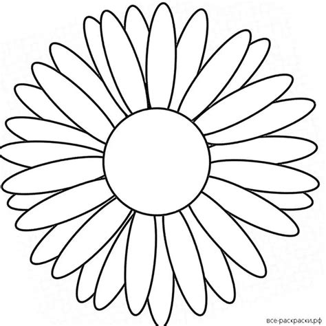 Ромашка Раскраска 48 Фото