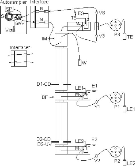 A Scheme Of The Electrophoresis System Autosampler S Sample Loop Download Scientific Diagram