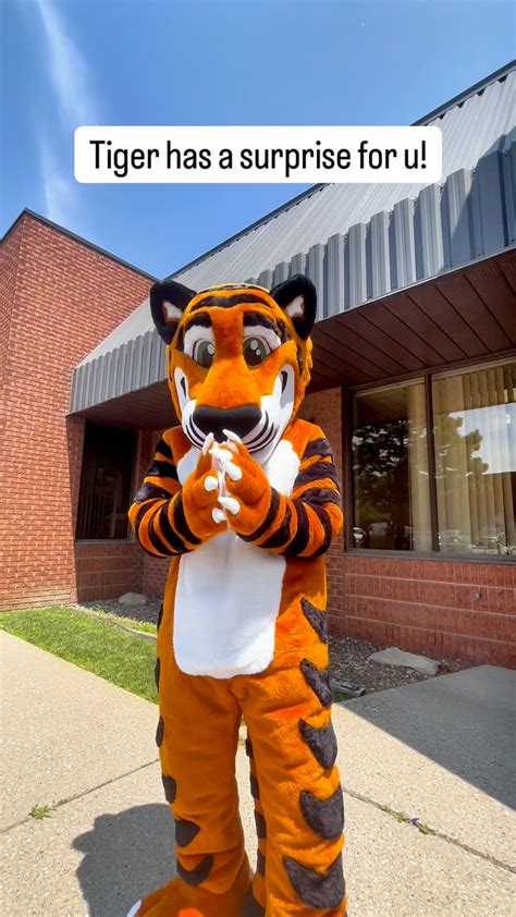 Elementary School Mascot Design