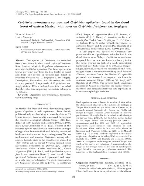 Pdf Crepidotus Rubrovinosus Sp Nov And Crepidotus Septicoides Found In The Cloud Forest Of